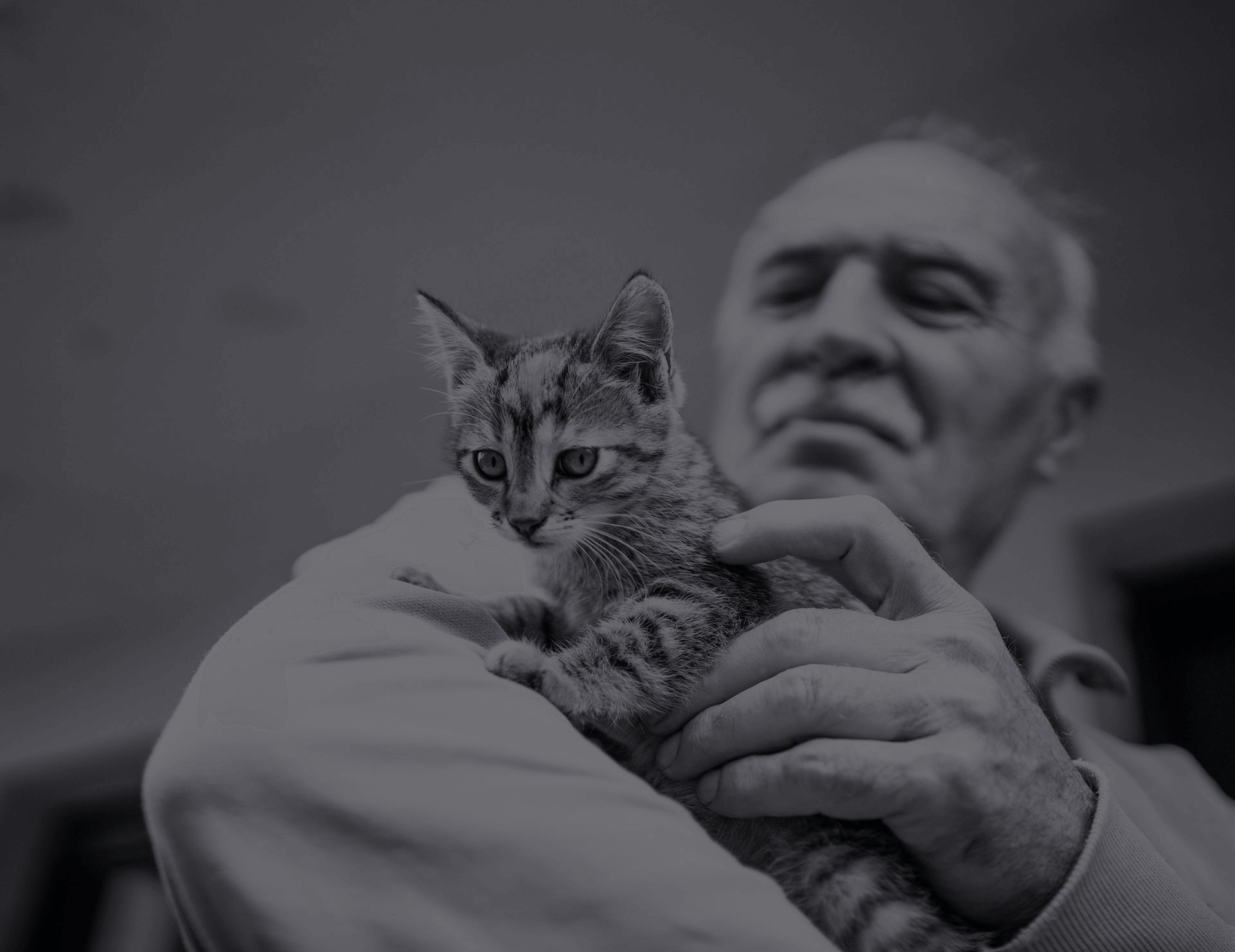 Smoking and Your Pets Health - Be Smoke Free